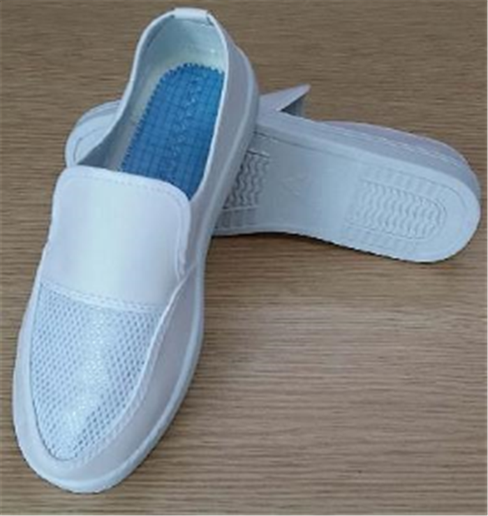 Cleanroom ESD Shoes | Cleanroom Supplies Singapore